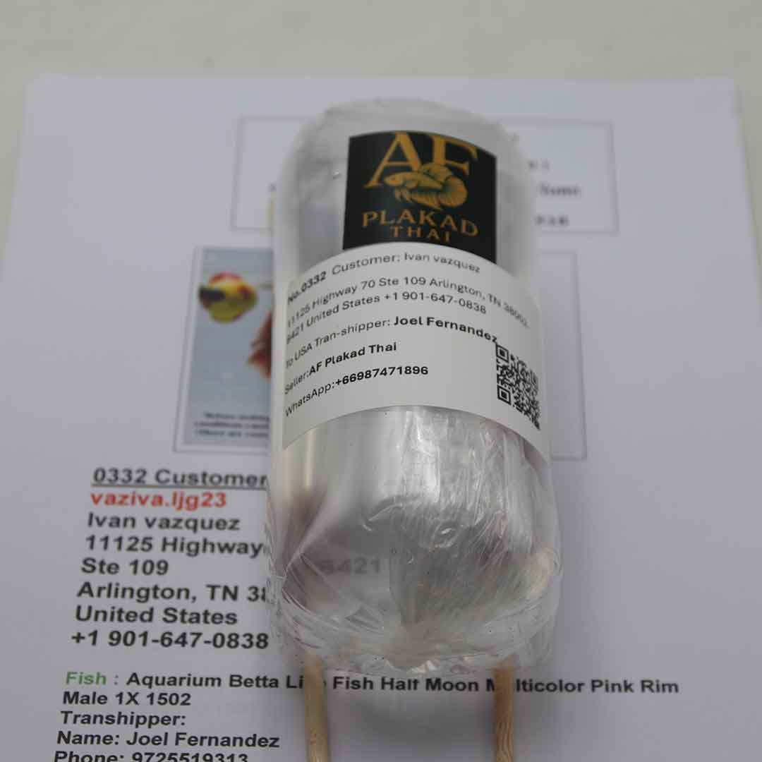AF Plakad Thai Export Proof | Real Packing, Labels & Shipping Documentation